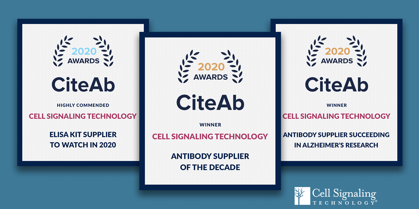 2020年CiteAb賞：CiteAb Awardの「Antibody Supplier of the Decade」を受賞